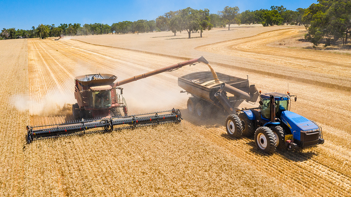 Customer Testimonial: Burton Family, Cleve, SA - Waringa Group